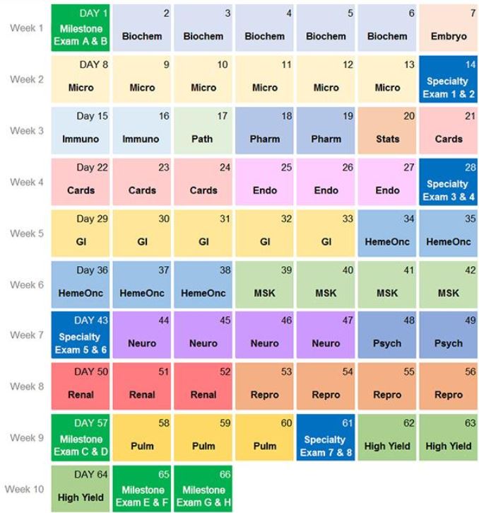 Virtual Curriculum Premium Content Anatomy Medbullets Step 1 Virtual Curriculum Premium Content Anatomy Medbullets Step 1